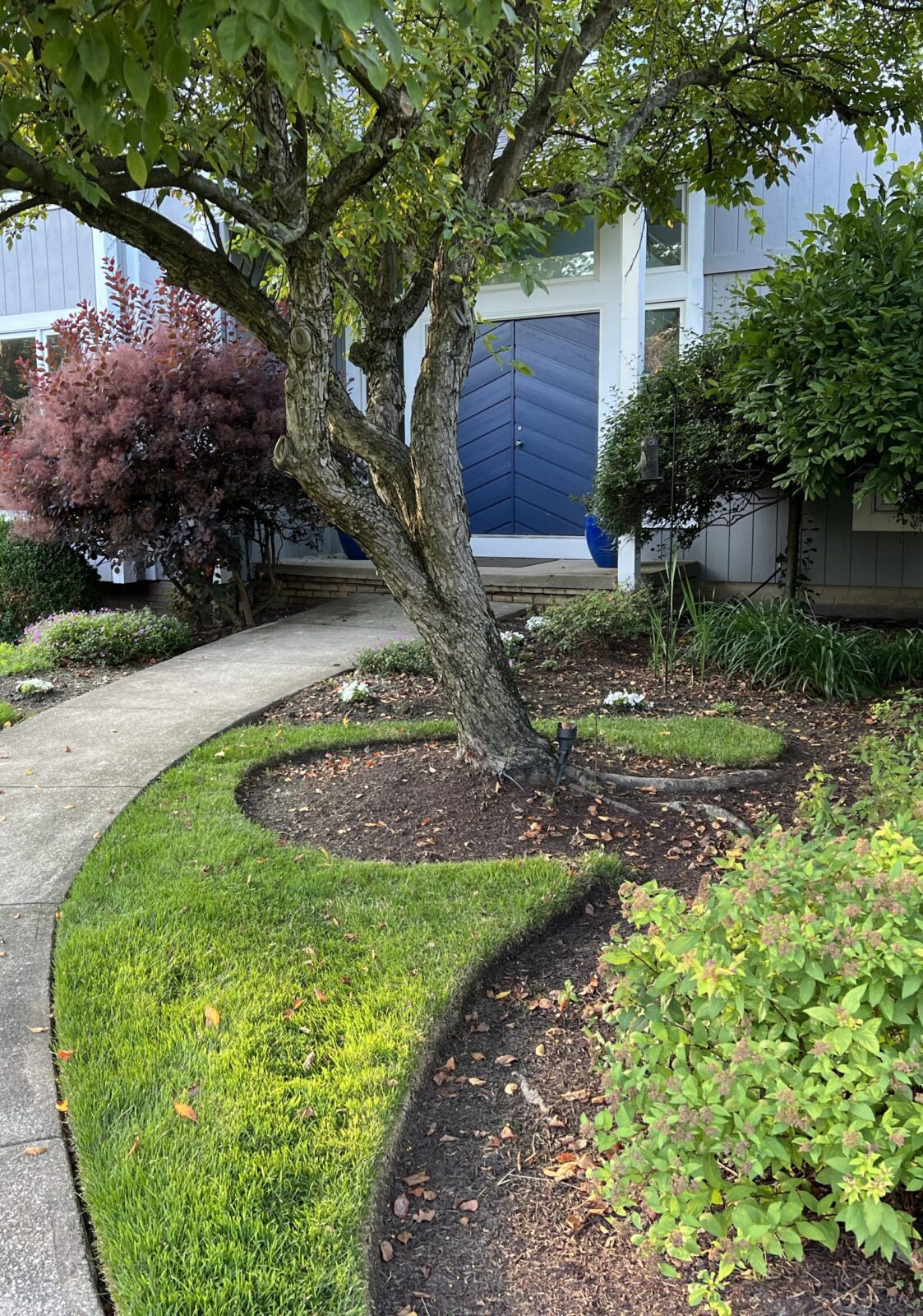 Professional Landscape Services