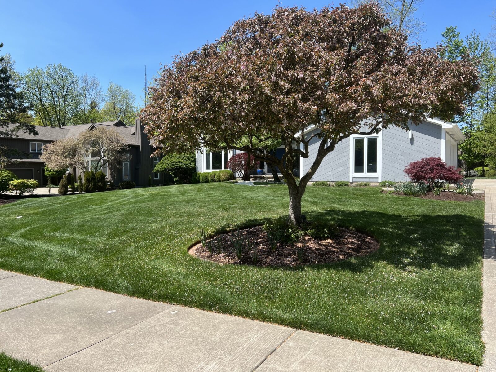 Professional Landscape Services